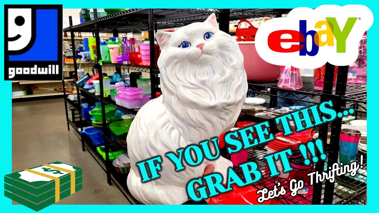 I CAN'T BELIEVE IT WAS THERE! / GOODWILL Thrift With Me / Buy Items ...