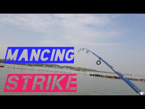 Mancing Strike - YouTube