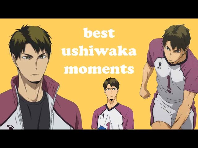 Ushiwaka Height Haikyuu Every Main Characters Age Height And 9724