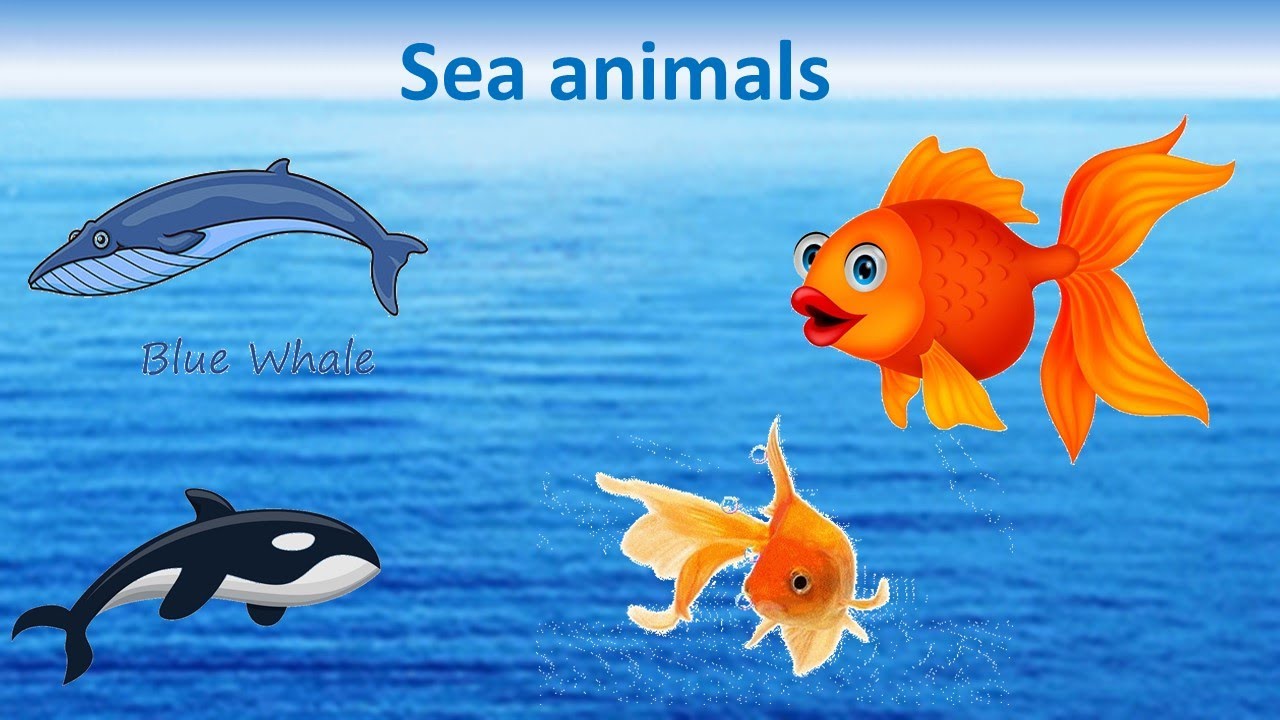 learn sea animals!........ for kids - YouTube