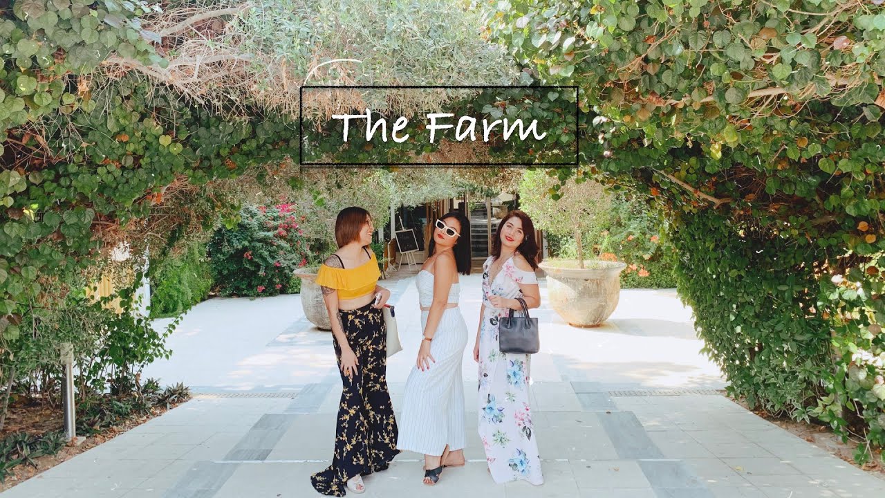 Visiting The Farm Al Barari - YouTube