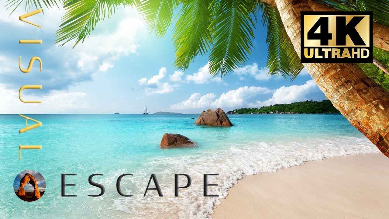 Calming Island Beach w/ Breeze and Waves | 4K - YouTube