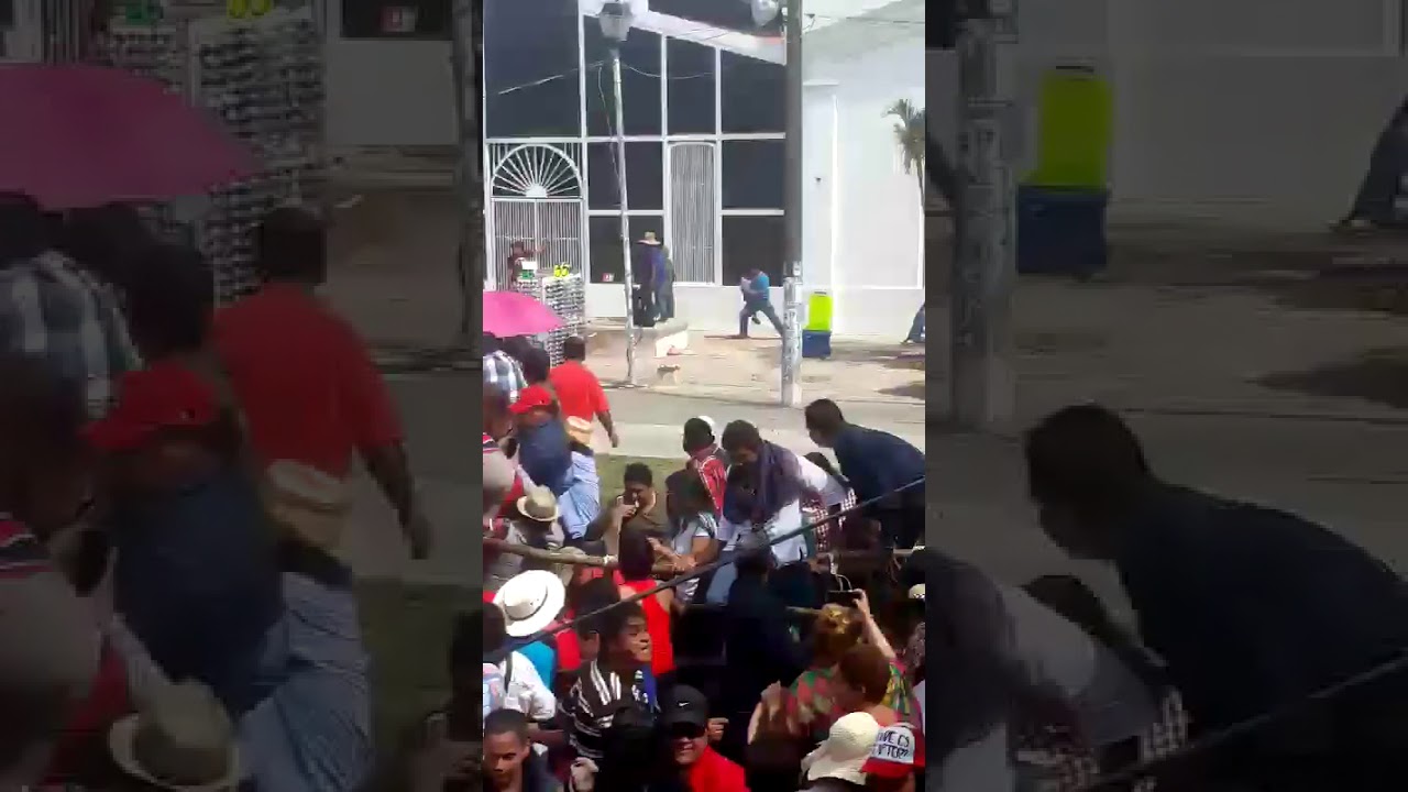 Toro "pajarito" en Tlacotalpan 2018 - YouTube
