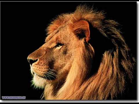 ceza- tek bir ihtimal var