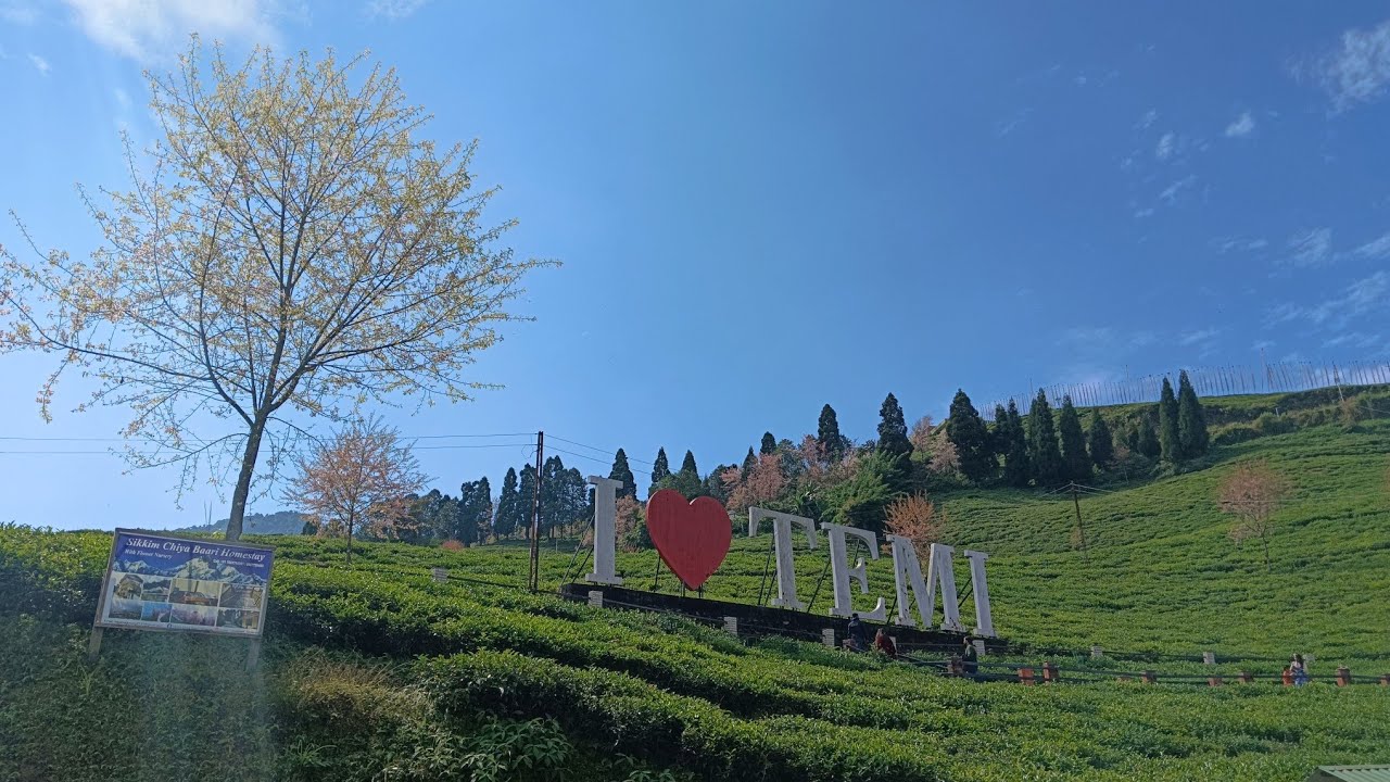 Beautiful Route to Temi Tarku from Singtam | Visited in November (1st ...