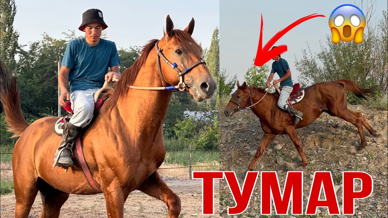 ТУМАР - YouTube