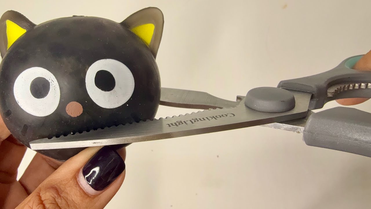 What Happens If You Cut This Squishy Open? - YouTube