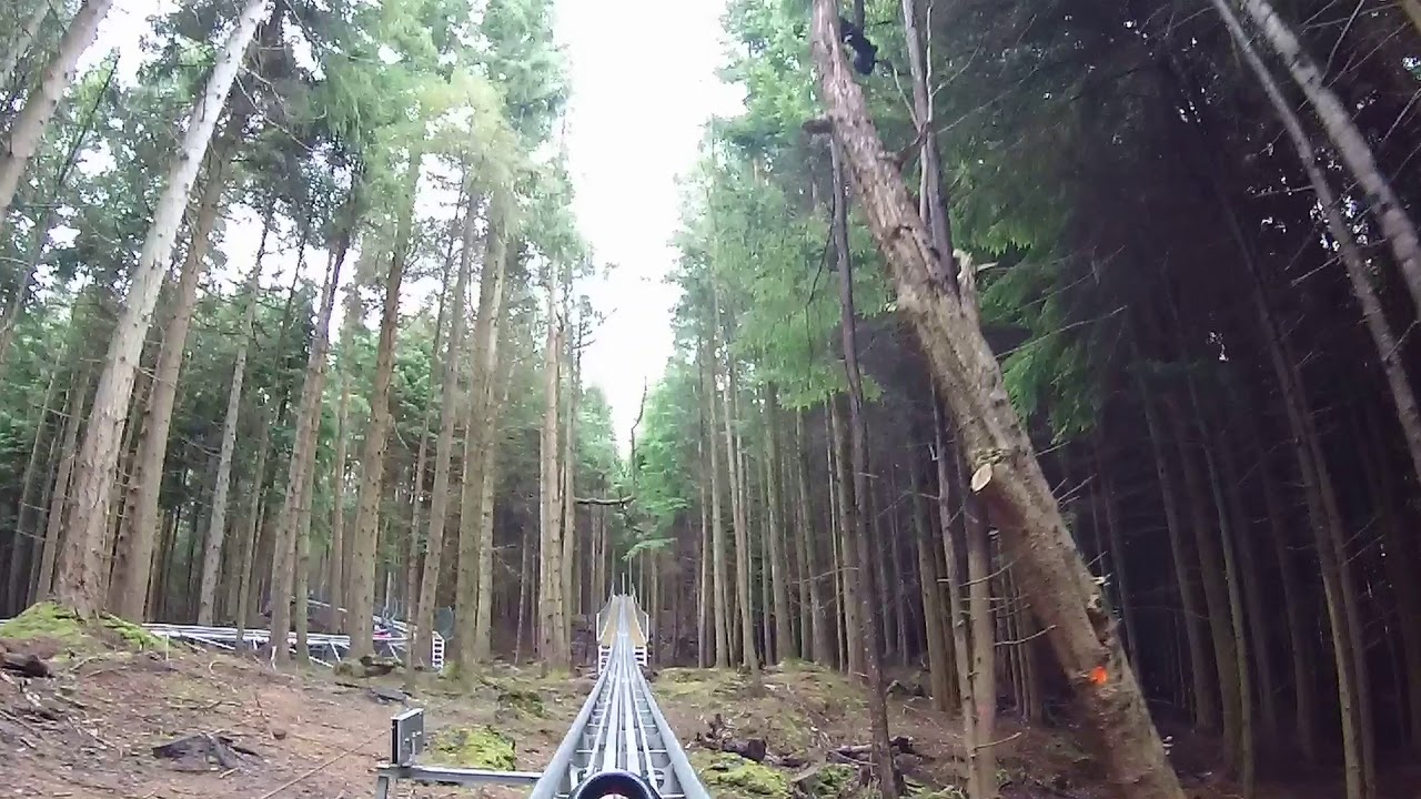 Zip World - Fforest Coaster - Full Ride POV - 1080p HD - YouTube