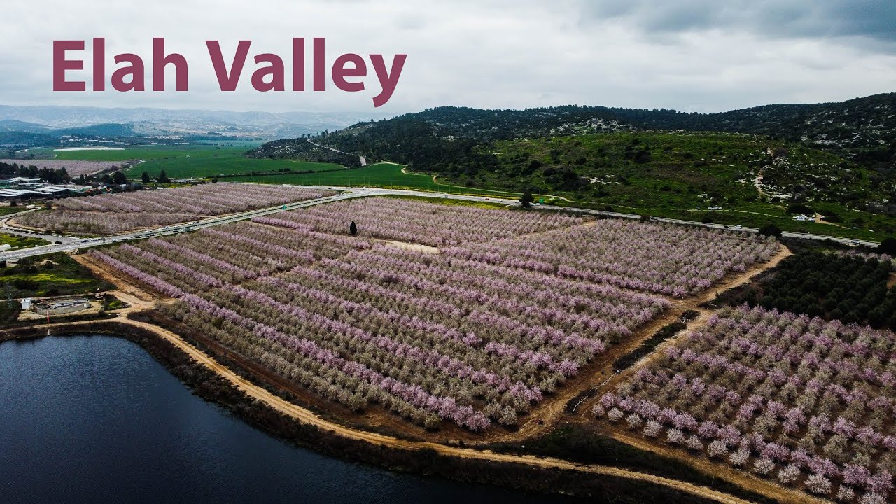 Ella Valley at it's peak. - YouTube