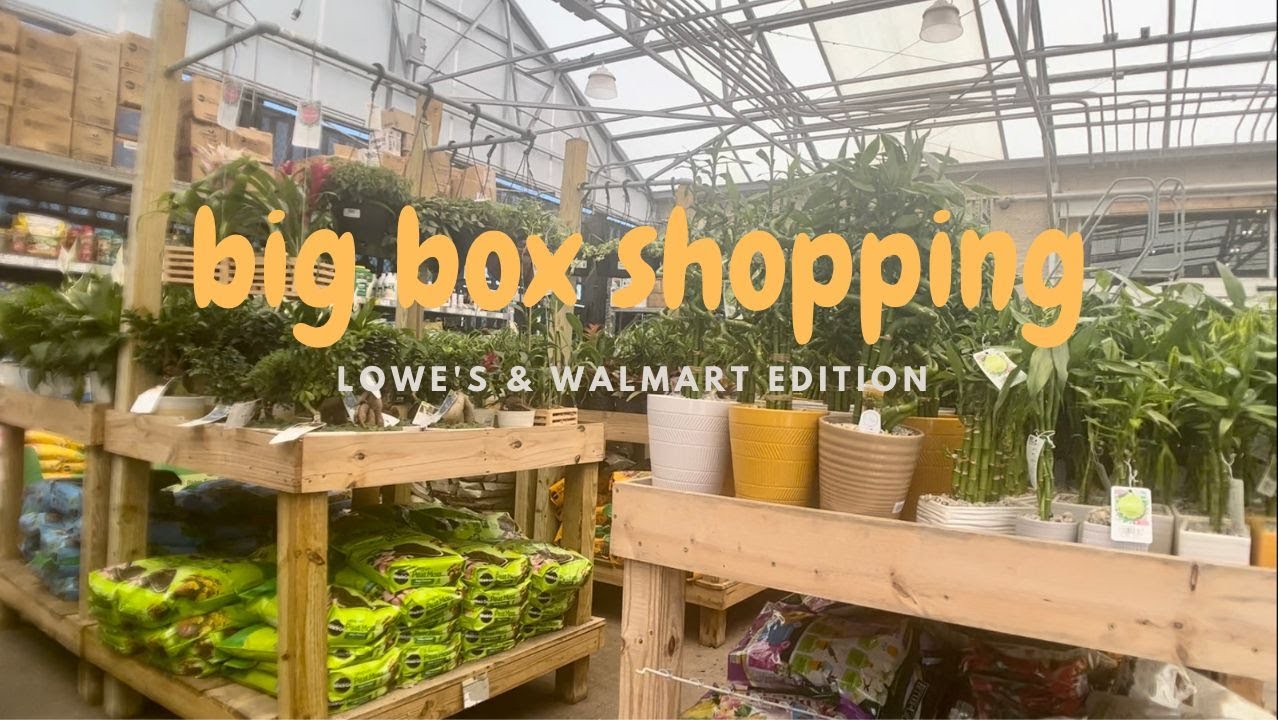 big box shopping!! (Lowe's & Walmart edition) - YouTube