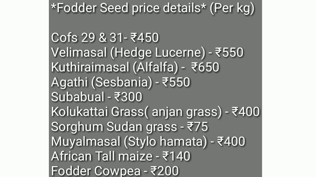 Green Fodder Seed price list.Call: 9600026269 - YouTube
