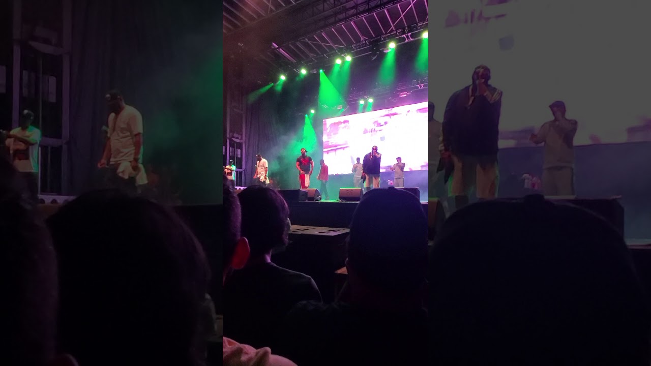 Wu-Tang Clan Riot Fest '19 "C.R.E.A.M" - YouTube
