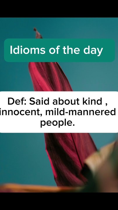 Idioms of the Day: Speak English Like a Native #english #learning # ...