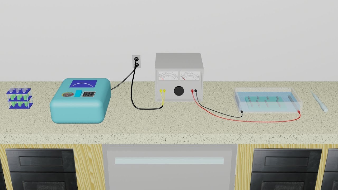 Gel Electrophoresis Animation - YouTube
