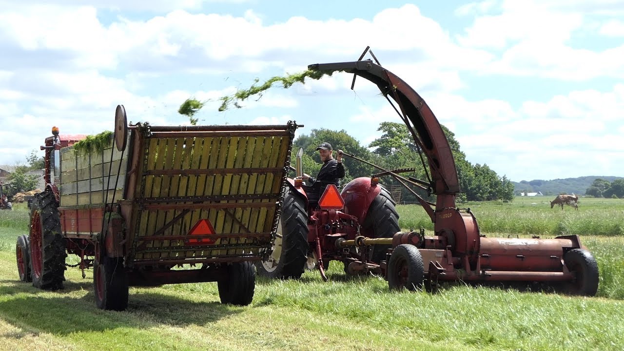 IH 824 Turbo Chopping Grass w/ Old Taarup Forage Harvester | Cool Sound ...