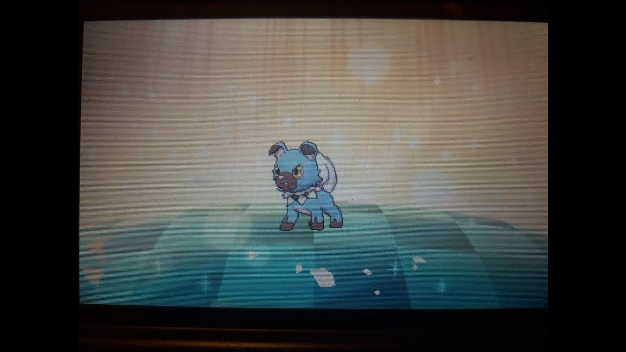 full odds Shiny Rockruff after 1524 eggs Ultra Sun/ Rocabot Chromatique ...