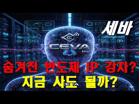 세바 CEVA Inc. (CEVA) 지능형 에지 연결 및 반도체 IP 분석 보고서