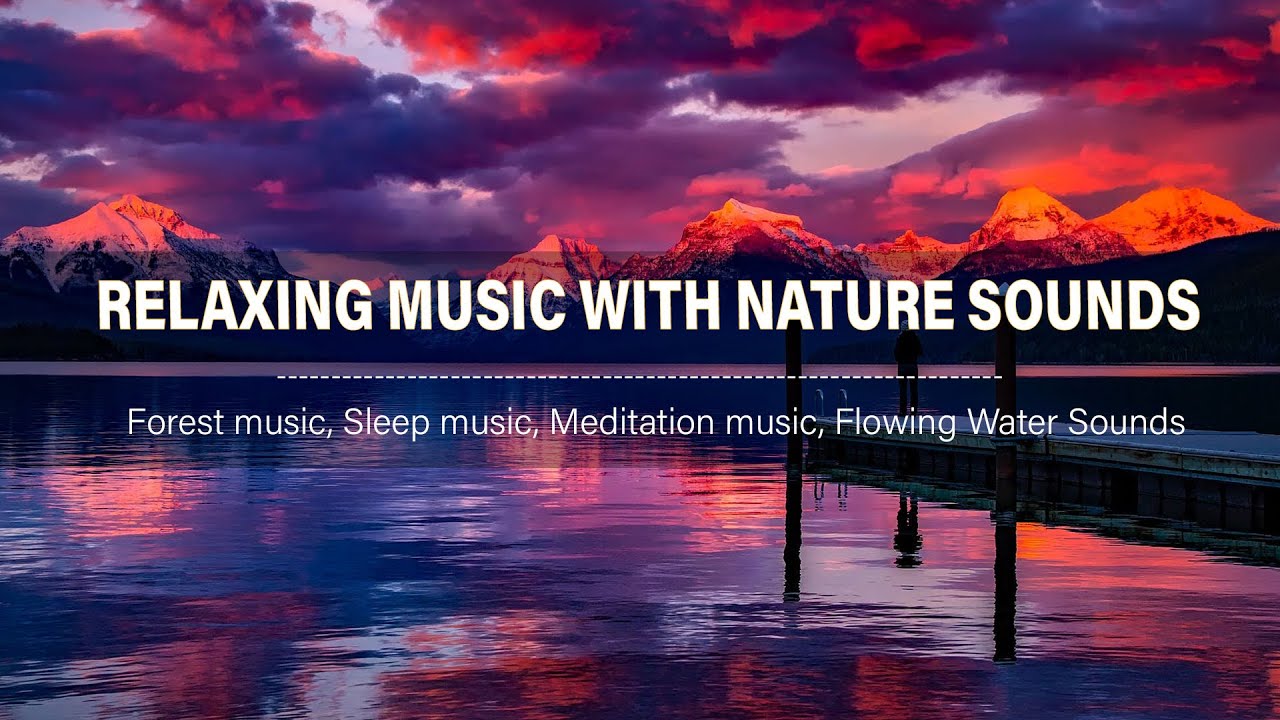 RELAXING MUSIC WITH NATURE SOUNDS, Forest music, Sleep music ...