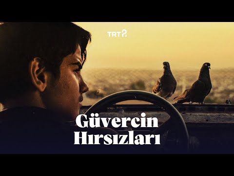 Güvercin Hırsızları | Fragman