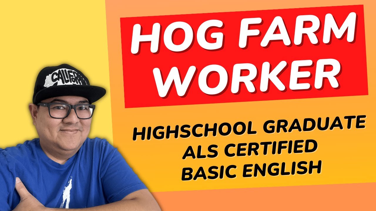 HOG FARM WORKER SA CANADA I PIGGERY WORKER I NO PALCEMENT FEE I NOYTEBS ...