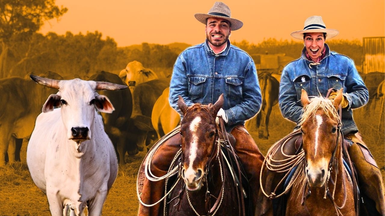 1 SEMAINE pour devenir COWBOY et DÉPLACER 550 Vaches 😱🐄 | Défi Épique ...