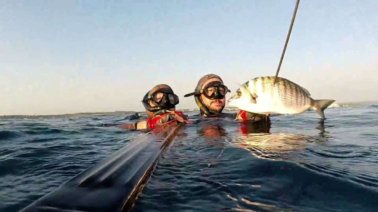 Pescausb: spizzolandia, nel paese del sarago pizzuto - YouTube