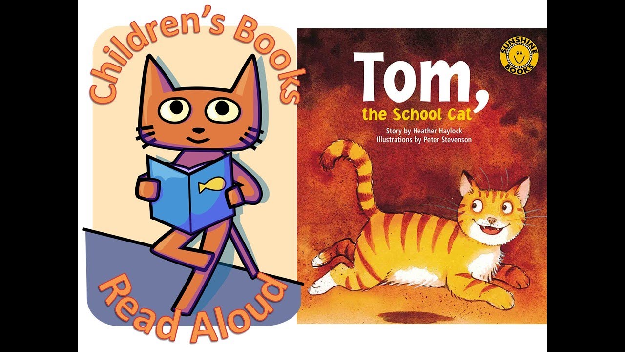 Tom the School Cat - Heather Haylock & Peter Stevenson - Children's ...