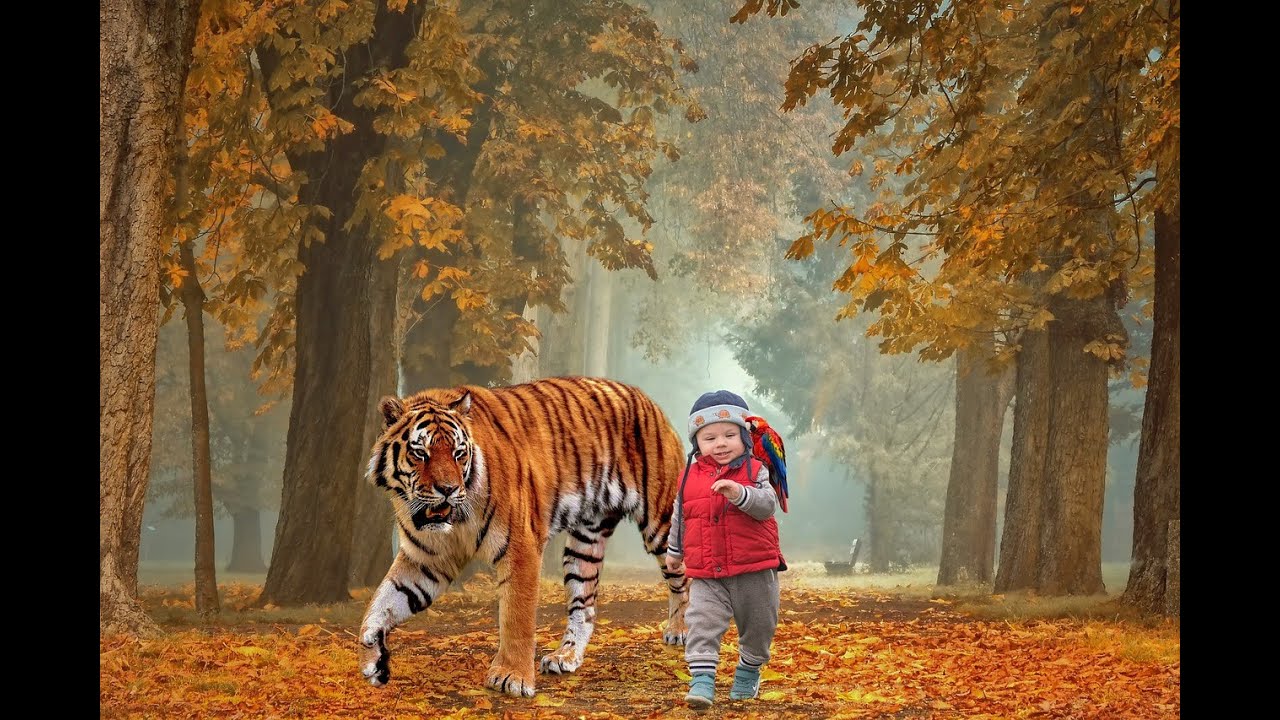 P1. Amazing Facts About Tigers That Will Surprise You - YouTube