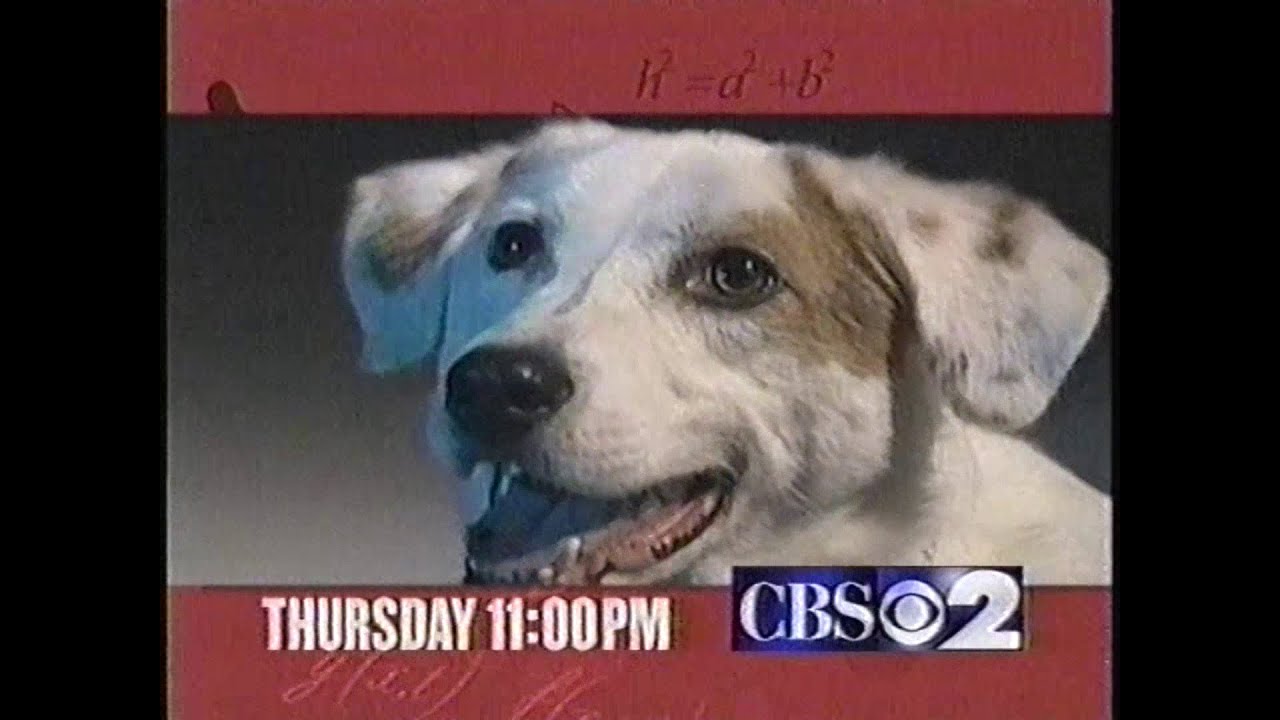 WCBS (CBS) commercials [January 28, 2003] - YouTube