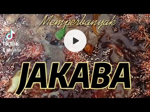 Tutorial membuat Jakaba dengan "Biang Jakaba" - YouTube