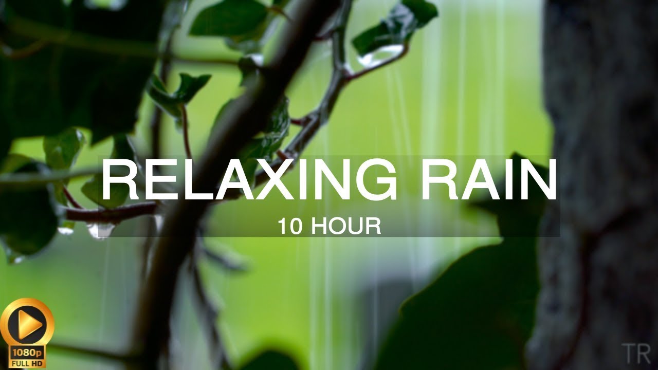 8D Rain: Relaxing Rain sounds with distant thunder • Rain sounds for ...