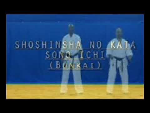 Ashihara Karate Shoshinsha Kata Ichi & Bunkai (Beginners Kata 1) - 2015 ...