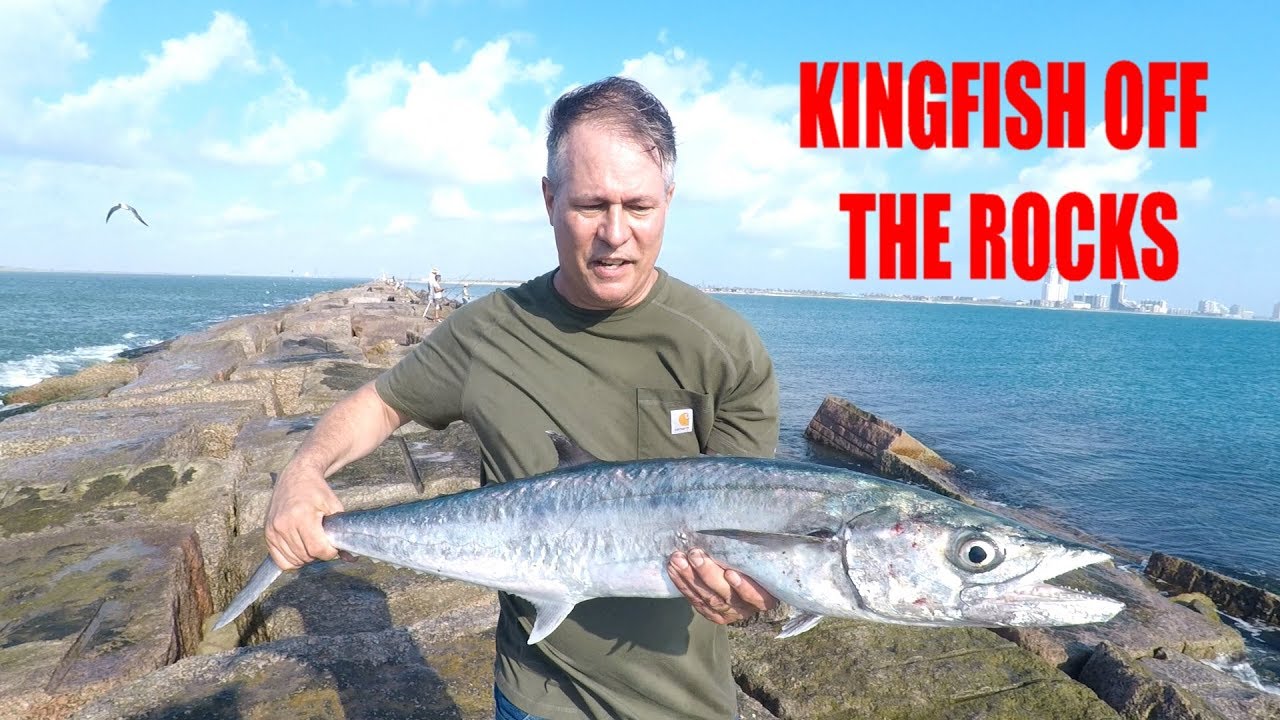 FISHING FOR KINGFISH - YouTube