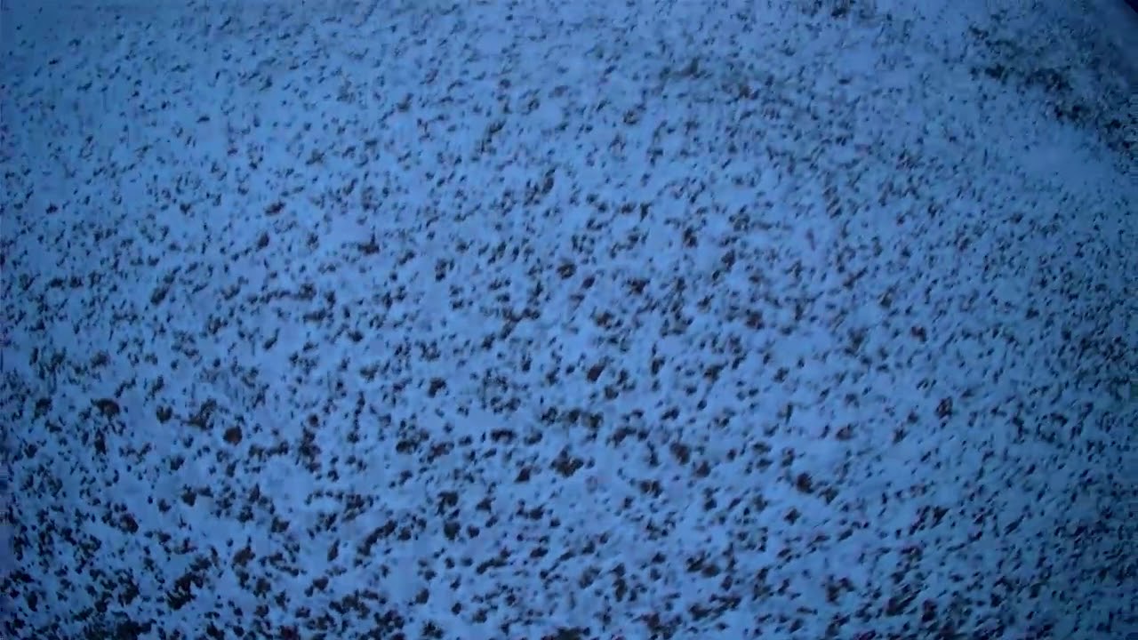 Serno flight 7 - YouTube