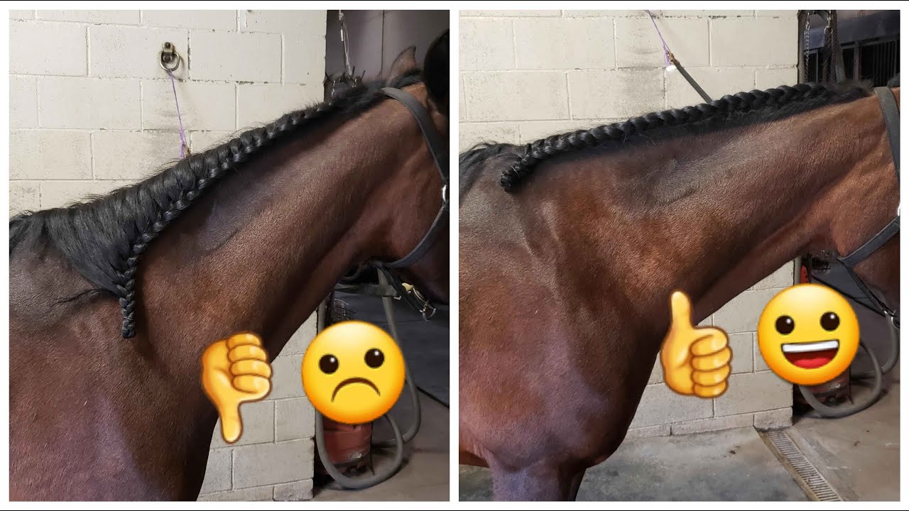 How To Do A French Running Braid On Your Horse - YouTube