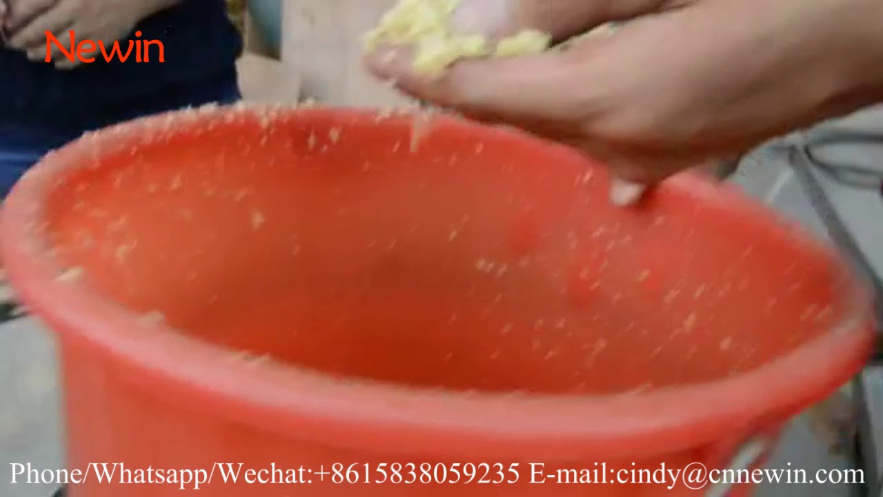 Commercial ginger garlic paste making machine - YouTube