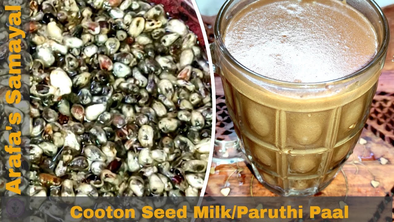 Healthy Cotton Seeds Milk|பயன் தரும் பருத்திப்பால்|Paruthi Paal|How to ...