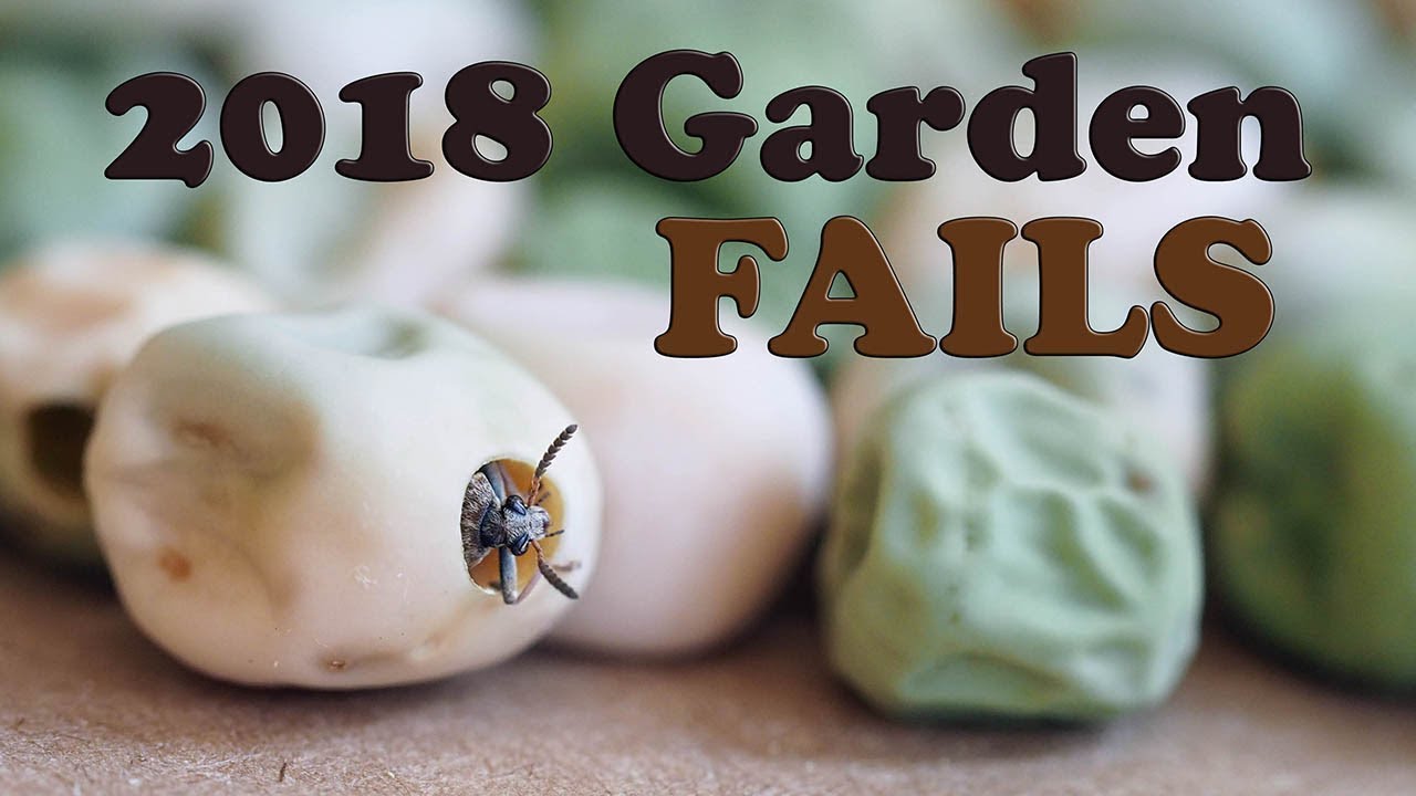 2018 garden fails - YouTube