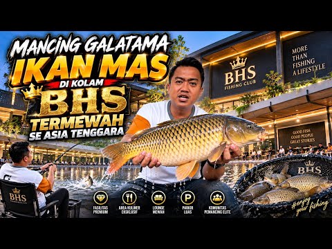 KOLAM GALATAMA TERMEWAH DI ASIA TENGGARA⁉️ GALATAMA IKAN MAS DI BHS‼️