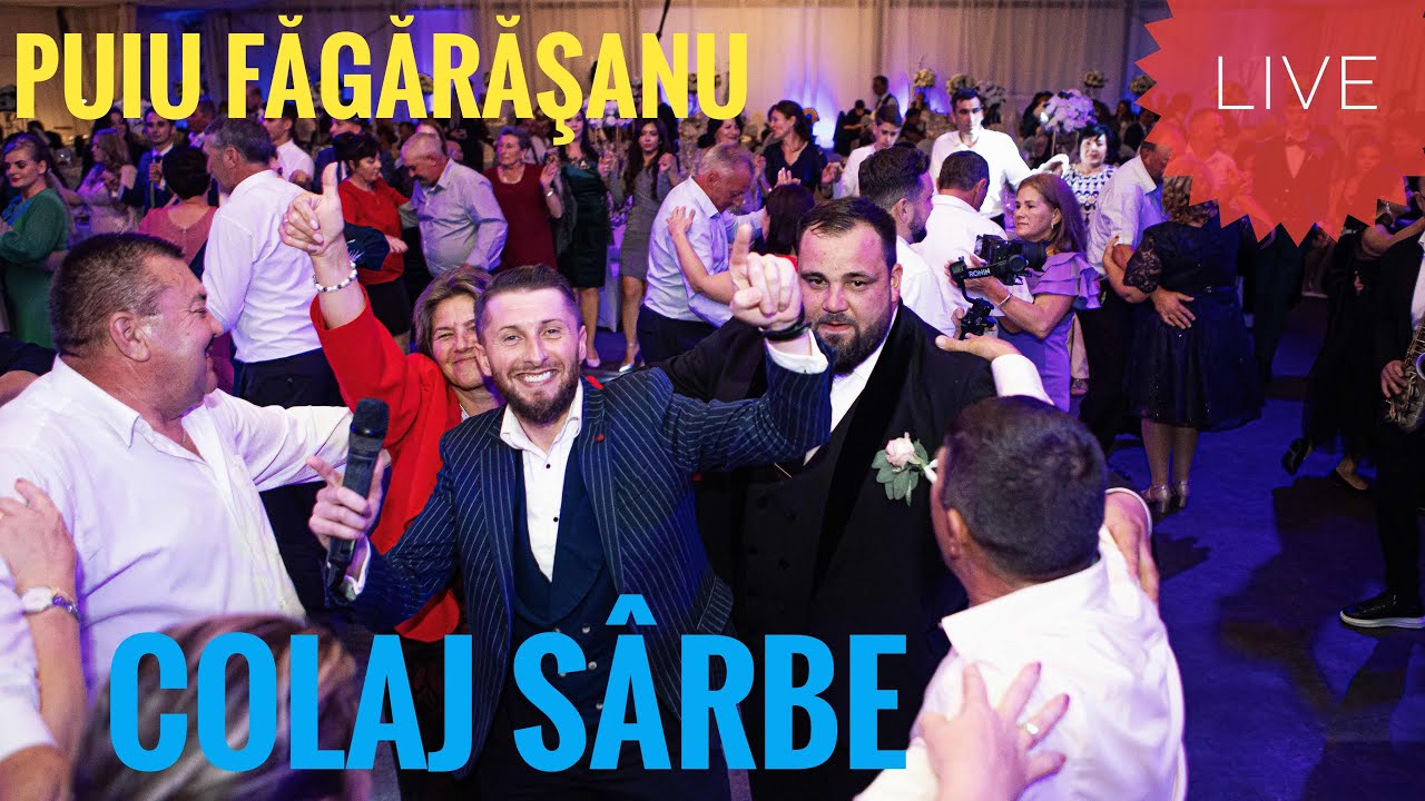 Puiu Fagarasanu🔴Colaj Sârbe 2024💯Live ☞Nunta Gabriel & Daria - YouTube