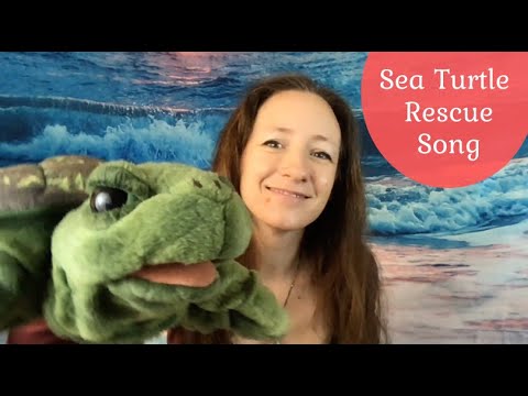 The Sea Turtle Rescue Song ~ We can make a difference! - YouTube
