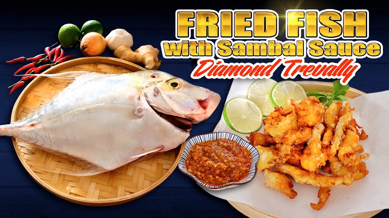 Fried Fish With Sambal Sauce | Diamond Trevally - YouTube