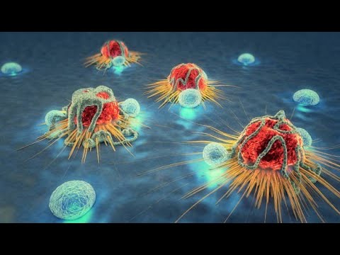 The Immune system made easy: Innate and Adaptive immunity simplified ...