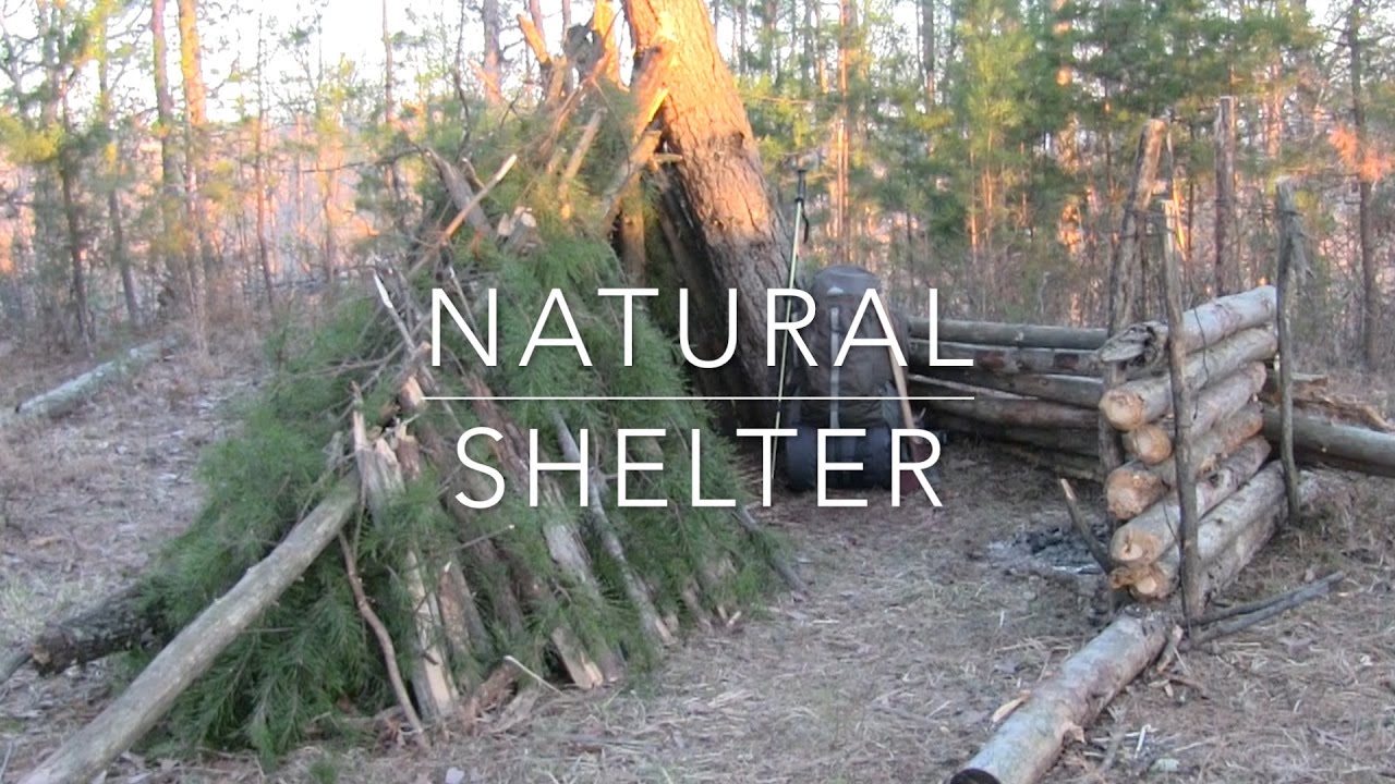 Natural Shelter - Solo Bushcraft - YouTube
