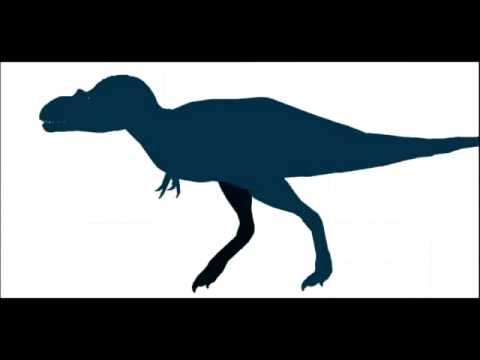 G-rex Pictures's Megaraptor vs Gorgosaurus - YouTube