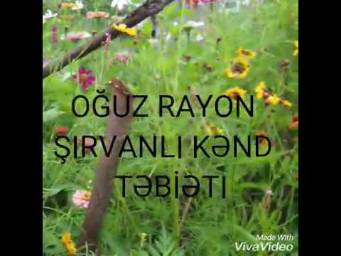 FERDI MAHMUDZADE-\