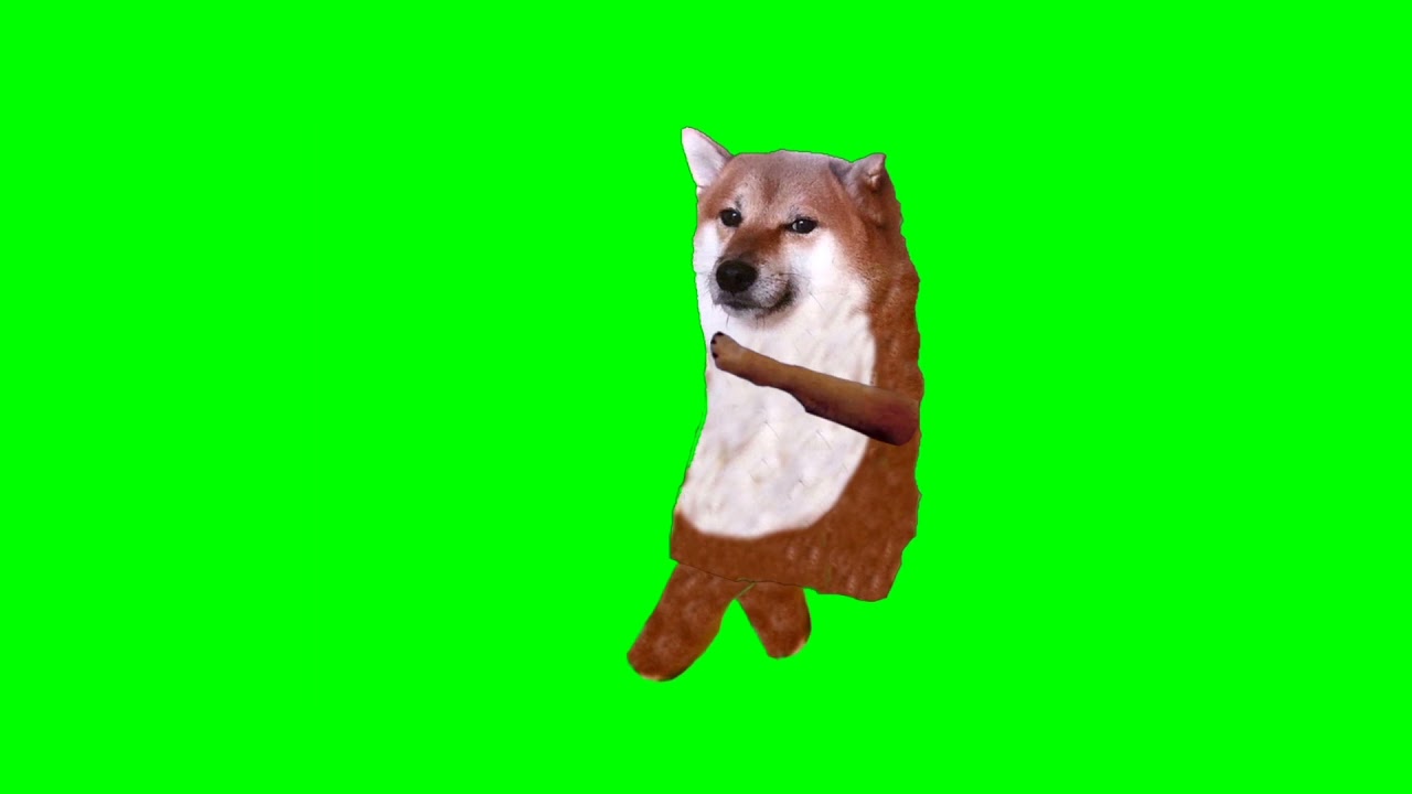 Cheems Walking Green Screen || 4k/Ultra Hd || Cheems Meme - YouTube