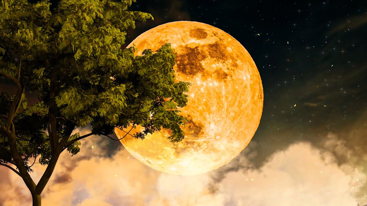 10 Hours Of Healing Moon Music for Stress Relief ! Beautiful Piano ...