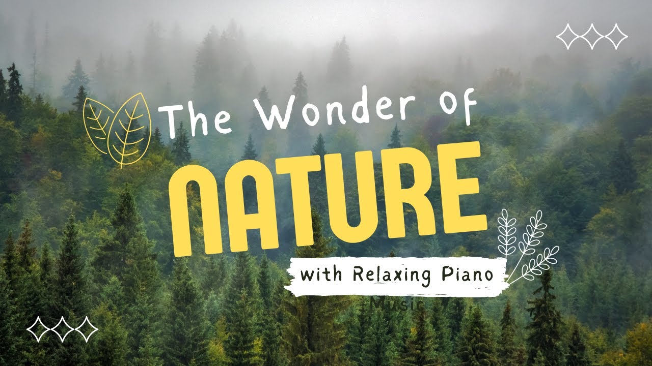 4K Nature with Relaxing Piano Music | Soothing Ambient Sounds - YouTube