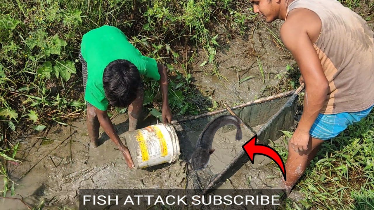 amazing fish attack|| hand fishing || 🤨 - YouTube